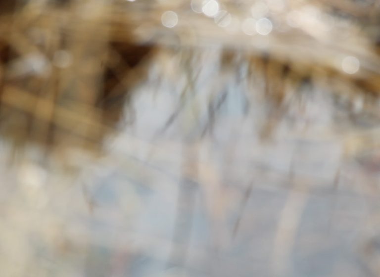 Rose Ferraby – artist and archaeologist